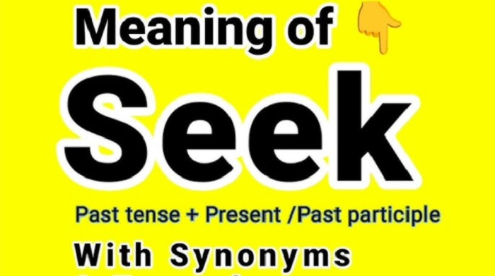 Seek Past Tense: Definition, Formula and Easy Examples