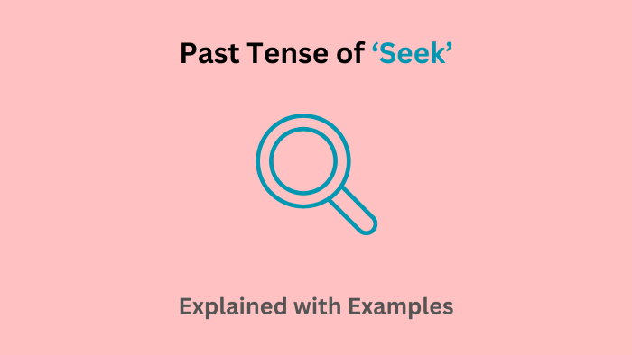 Seek Past Tense: Definition, Formula and Easy Examples