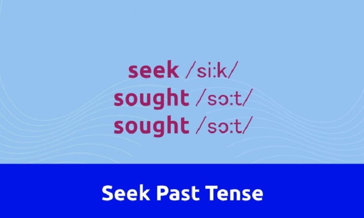 Seek Past Tense: Definition, Formula and Easy Examples
